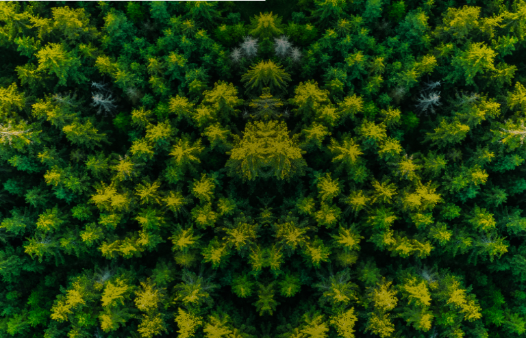 Wildeboer Bauteile GmbH